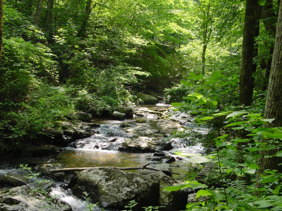 field-safety-training